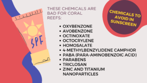 How Is Sunscreen Killing Coral Reefs? - Ocean Acidification